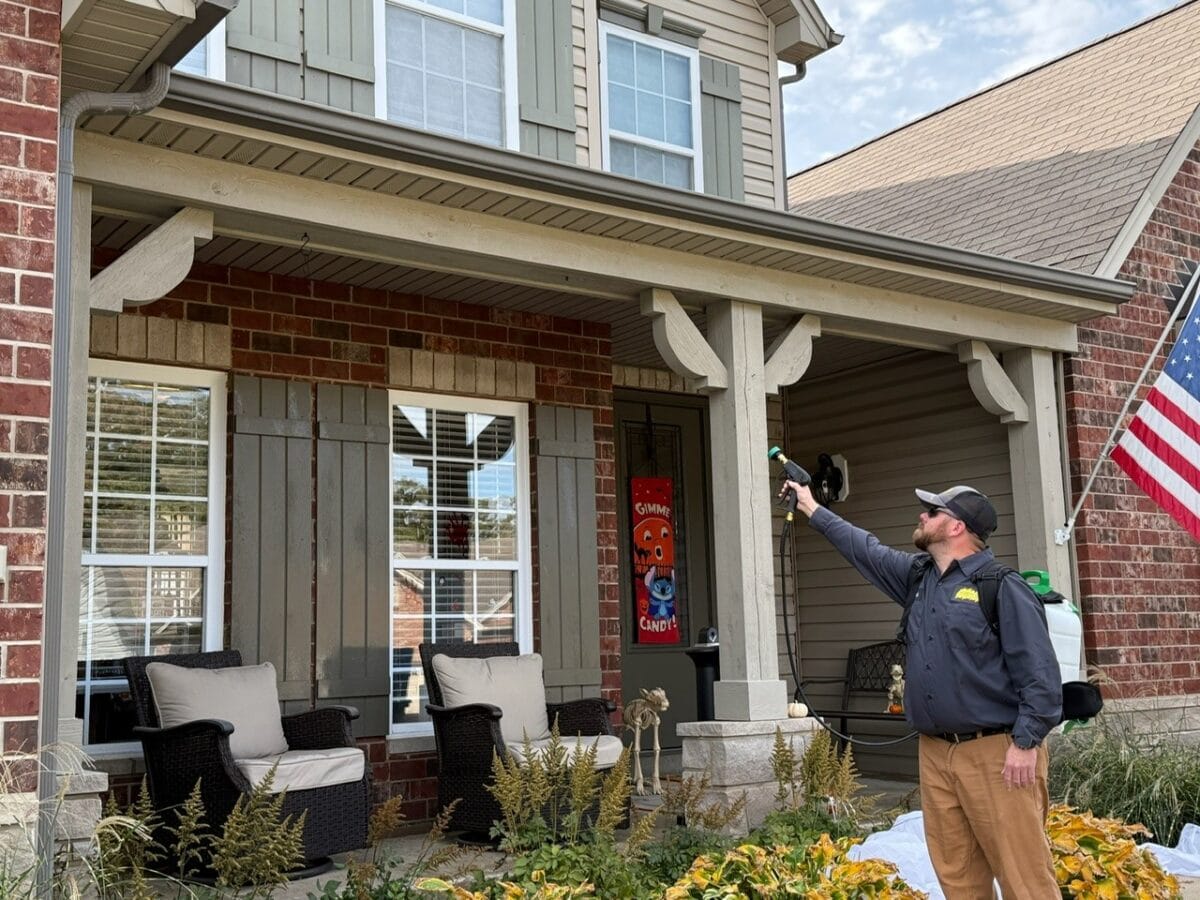 Expert Pest Control Services in St. Louis, MO