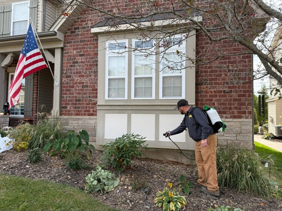 Expert Pest Control Services in St. Louis, MO