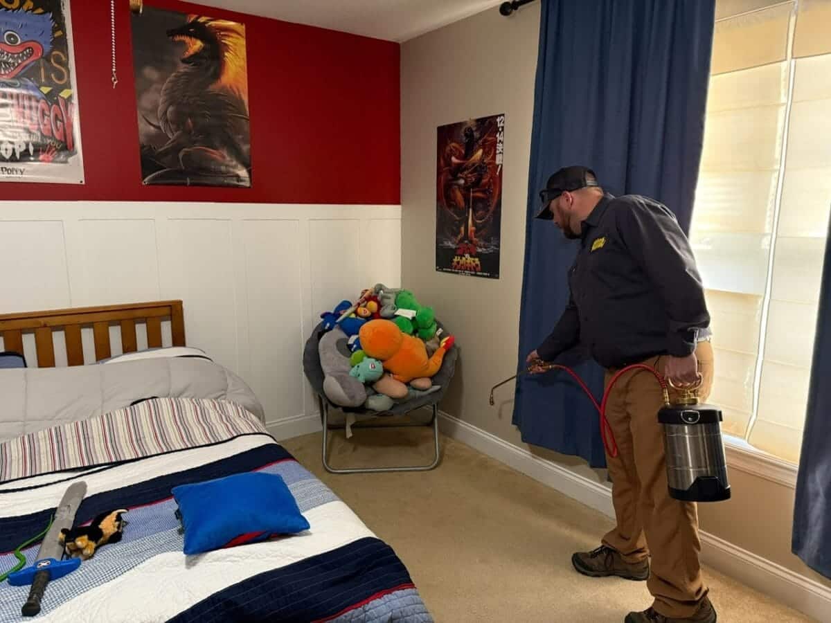 Expert Pest Control Services in St. Louis, MO