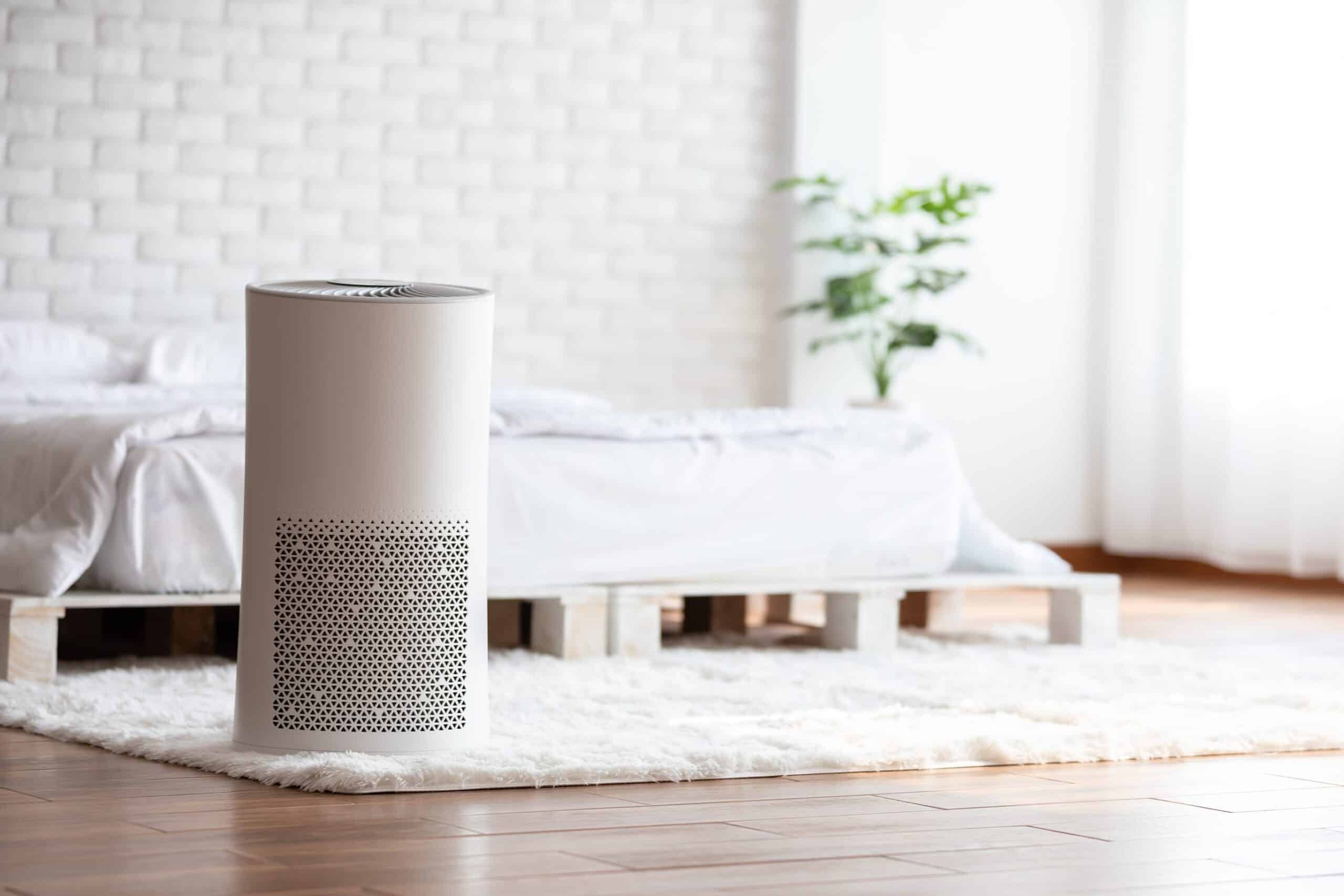 Do Air Purifiers Really Work? Here’s the Truth